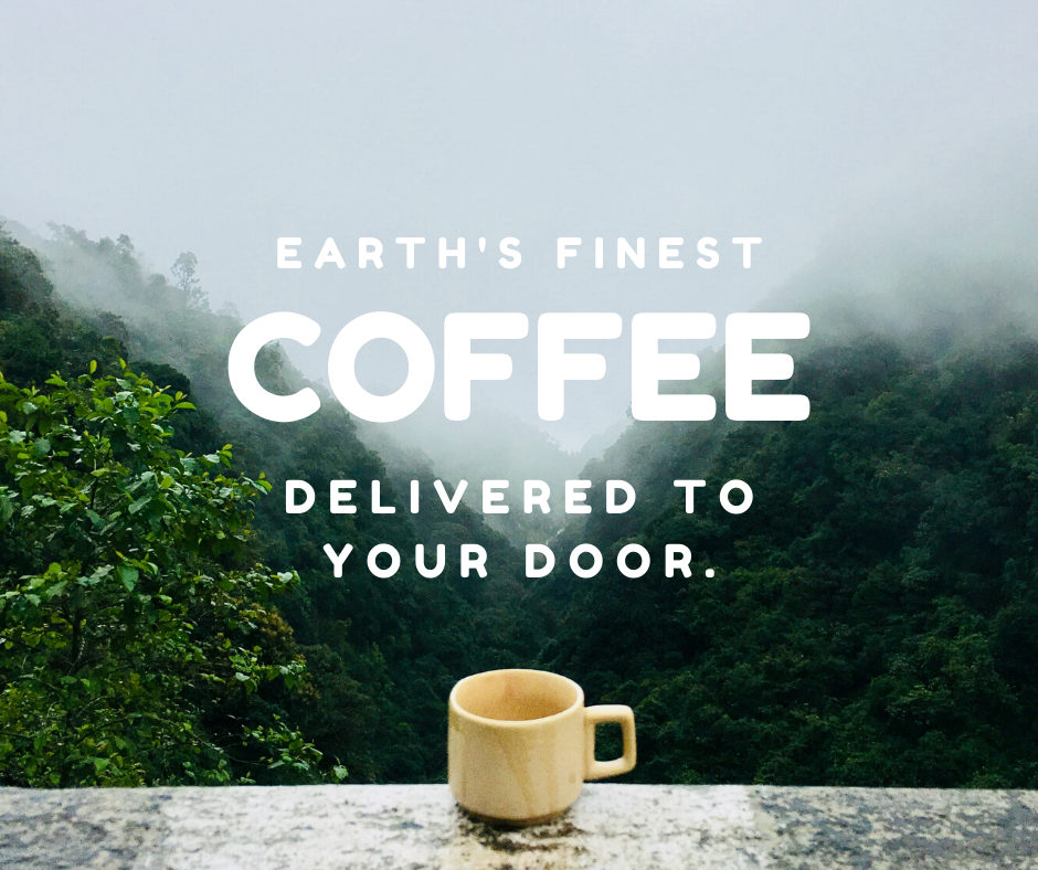 Rainforest Coffee Co. Fresh Roasted Coffee